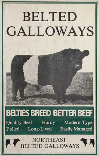 History - Belted Galloway