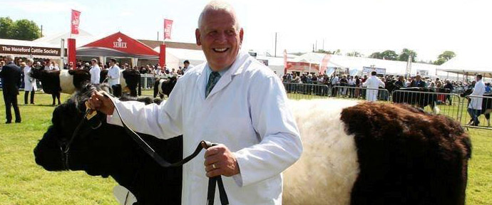 Tributes - Belted Galloway